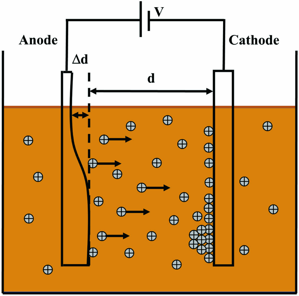 Electrodeposition Of Hierarchically Structured Three