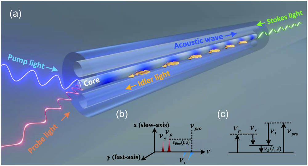 Distributed phase-matching measurement for dynamic strain and ...
